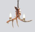 The Antler Lighting Buying Guide