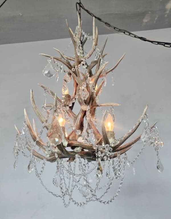 Antler Art Ideas for Texas Fancy Interior Design